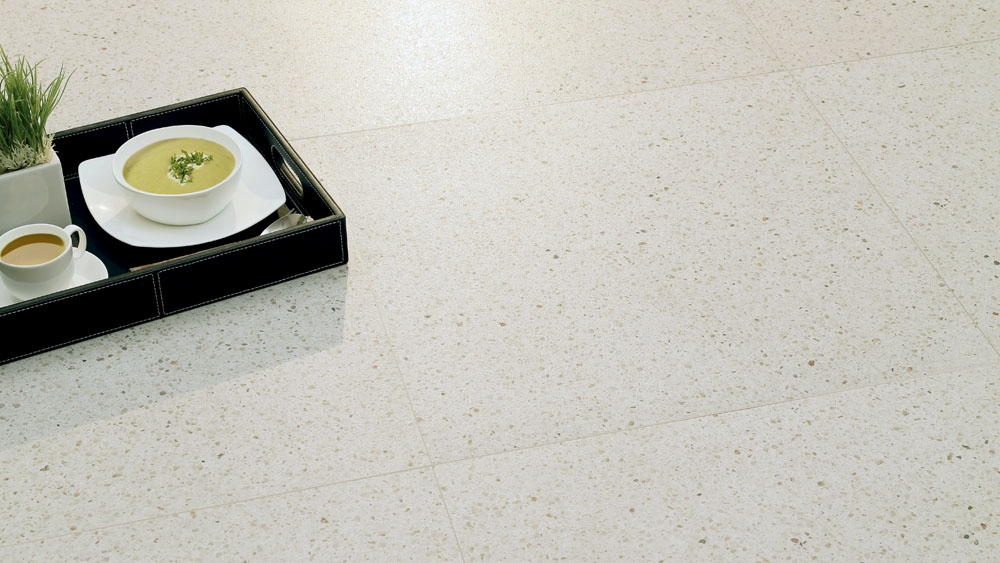 Homogenous Tile Roman Granit DTerazzo Bone GT602600R 60x60