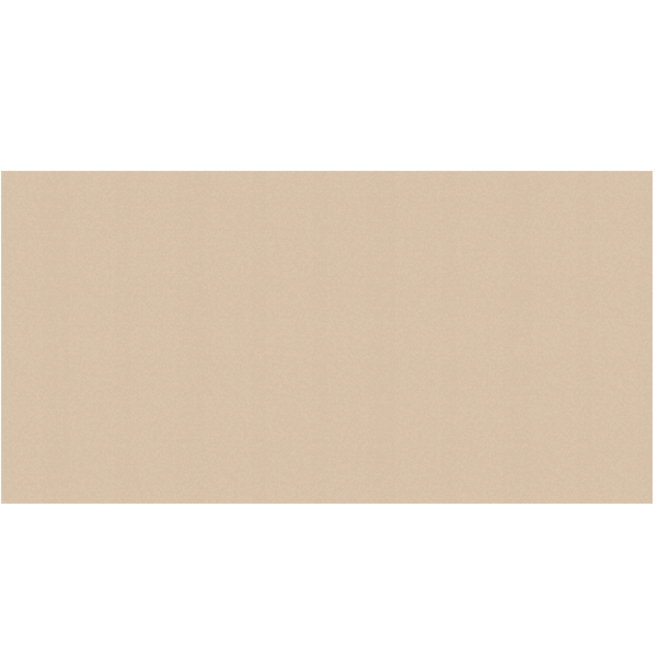 Homogenous Tile Titanium Monochrome Cream Glossy 60x120