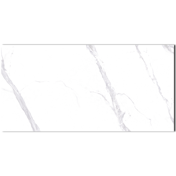 Homogenous Tile Titanium Statuario Dark Grey Matte 60x120
