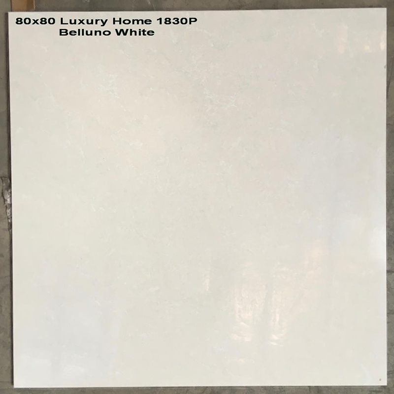 Homogenous Tile Luxury Home Belluno White 80x80 (Double Loading)