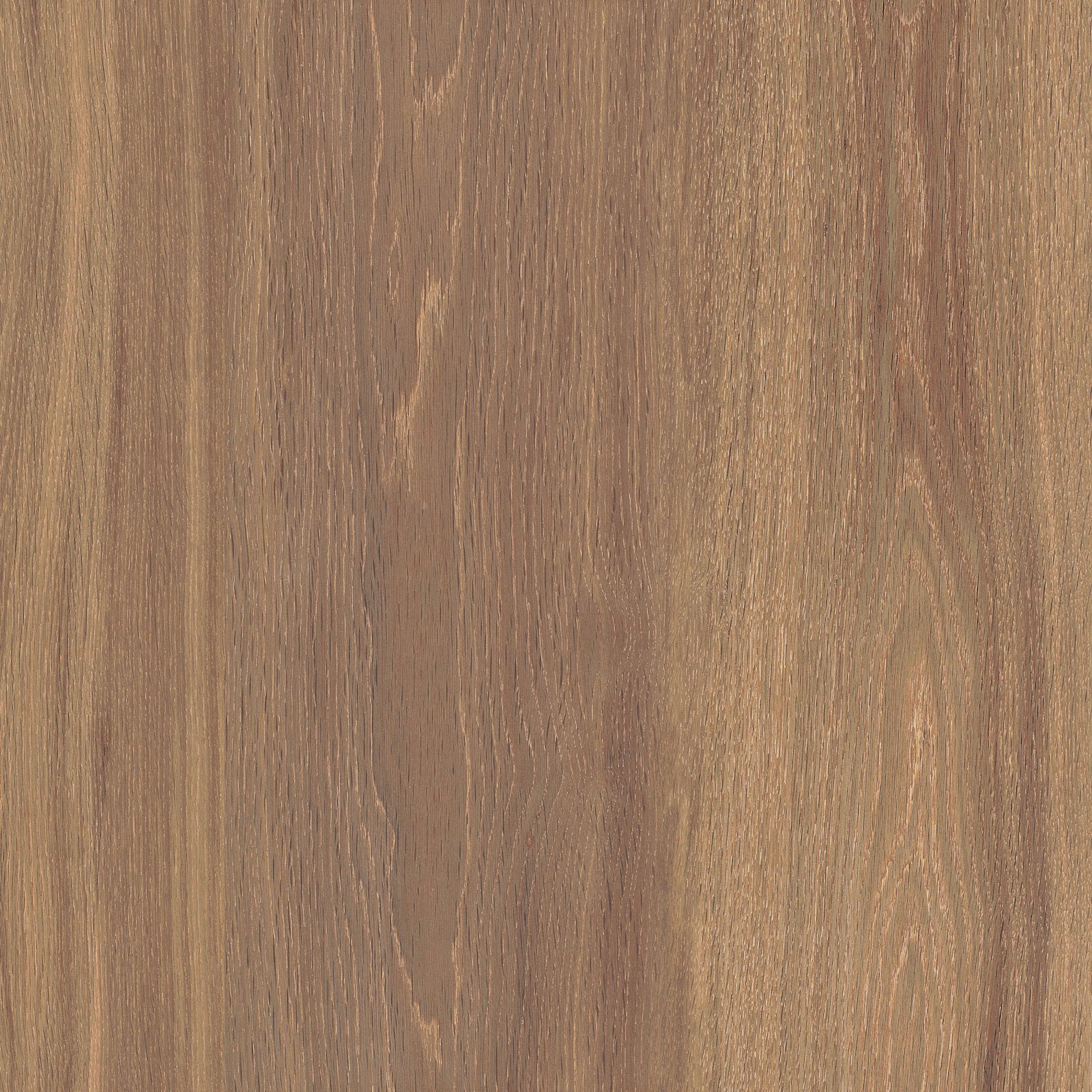 Keramik Lantai Platinum Daytona Brown 50x50